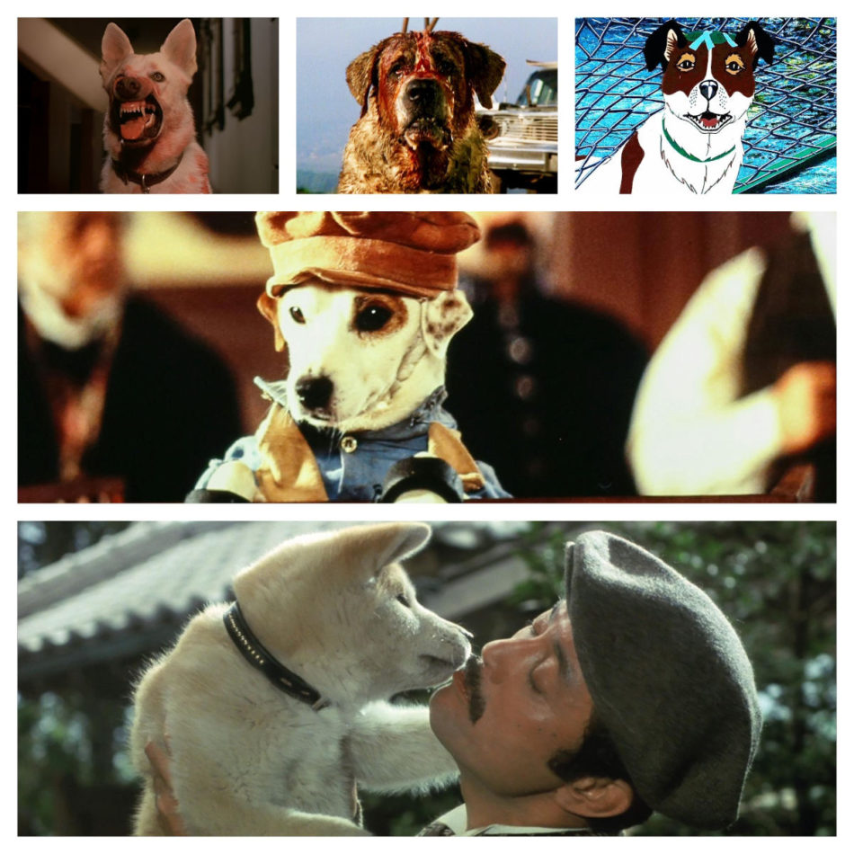 La historia del cine canino: a propósito del estreno de la india ...
