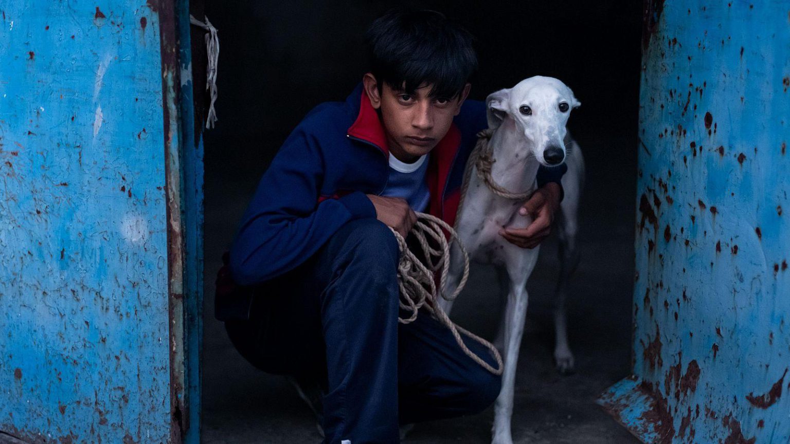 Reseña de "John Wick: Sin control" - Cinencuentro